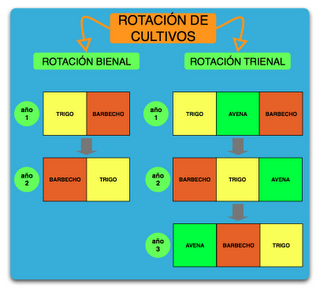Geografia i Història IES Altaia: Edat mitjana. ROTACIÓ DE CULTIUS